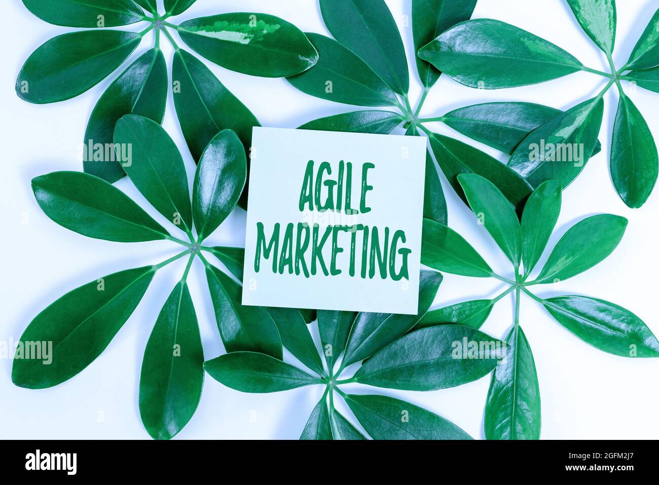 Conceptual display Agile Marketing. Business idea focusing team efforts ...