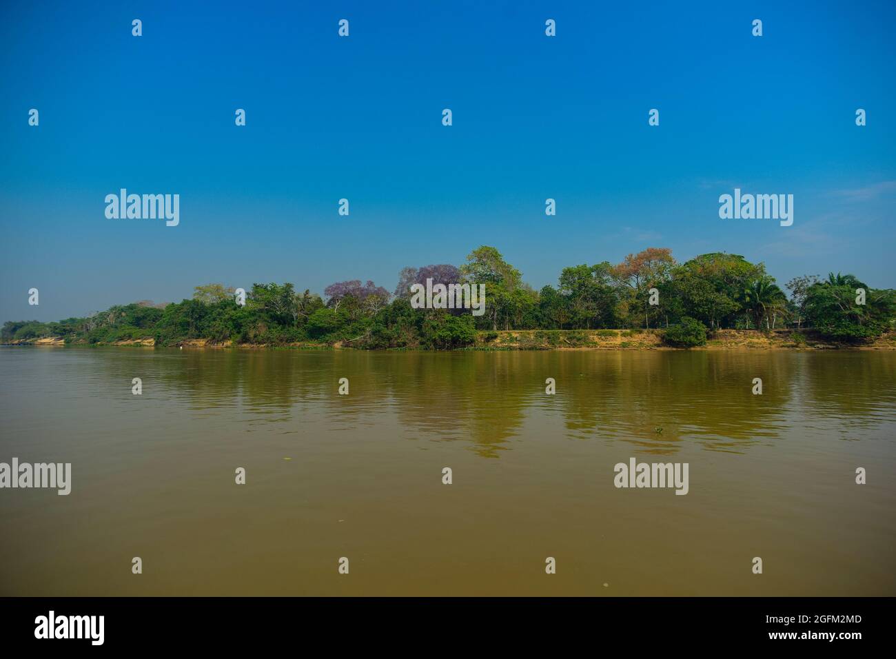 Cuiabá river landscape, Pantanal Forest , Mato grosso, Brazil Stock ...