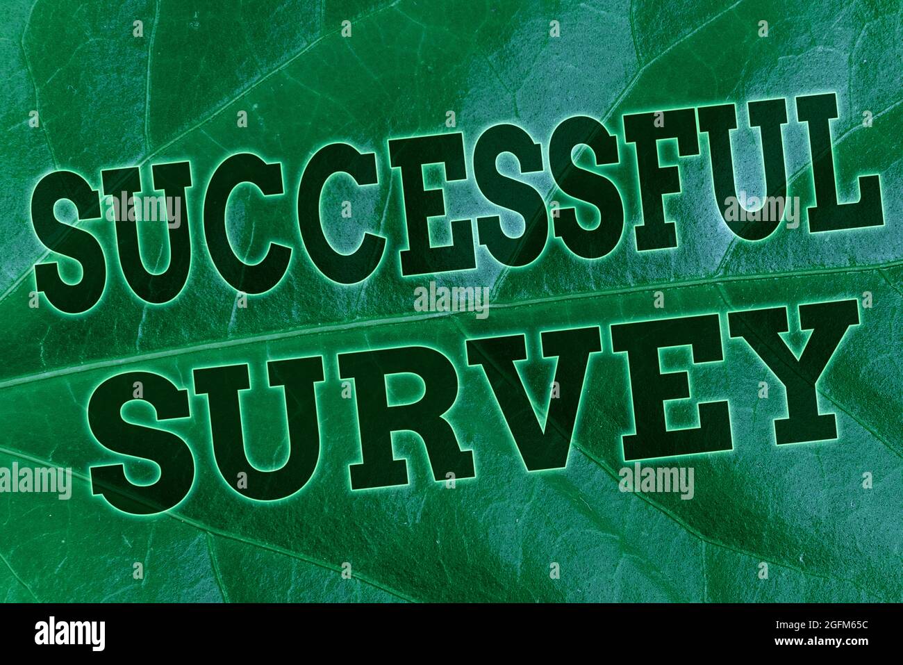 Conceptual caption Successful Survey. Business overview measure of ...