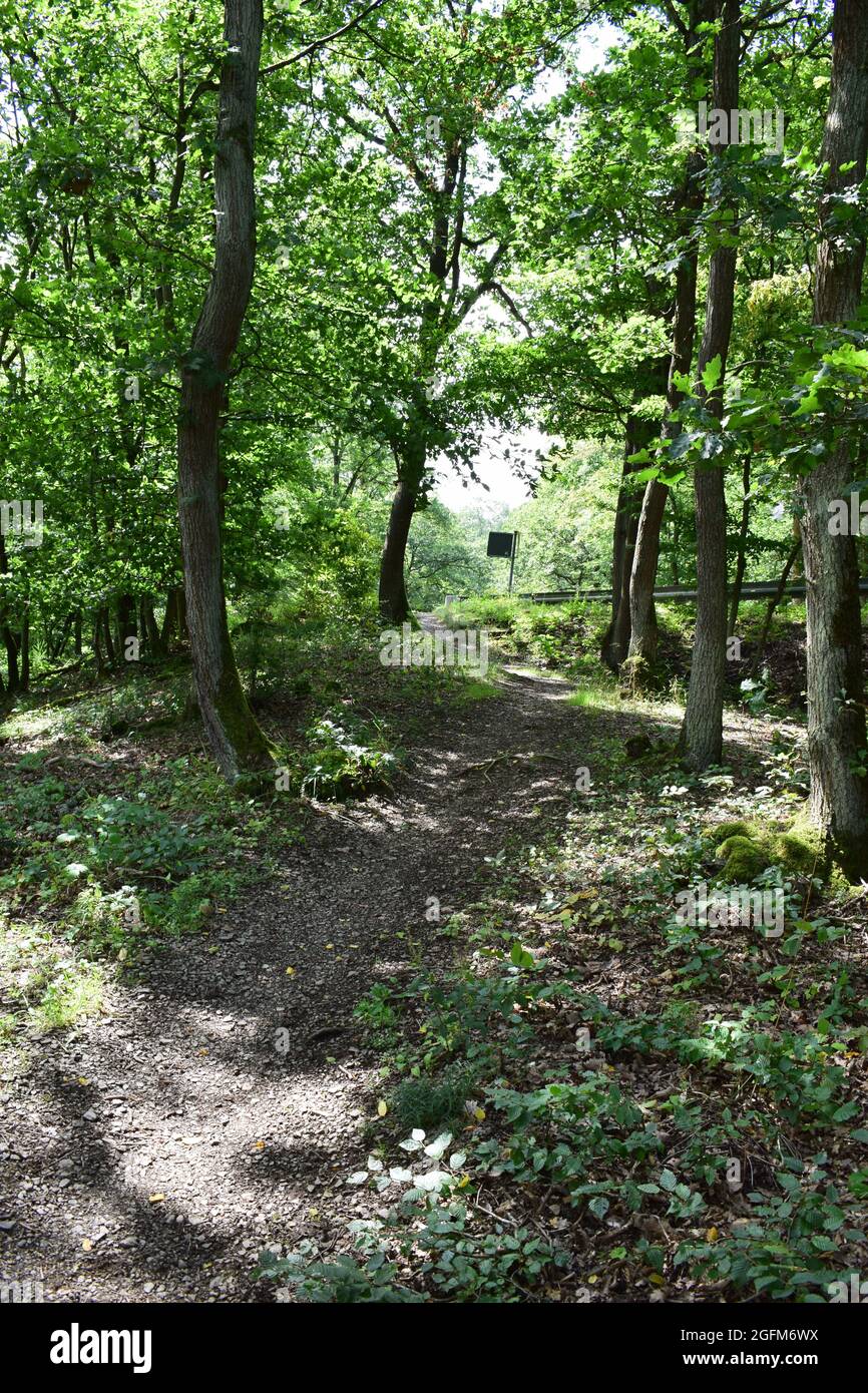 narrow hiking trail Stock Photo - Alamy