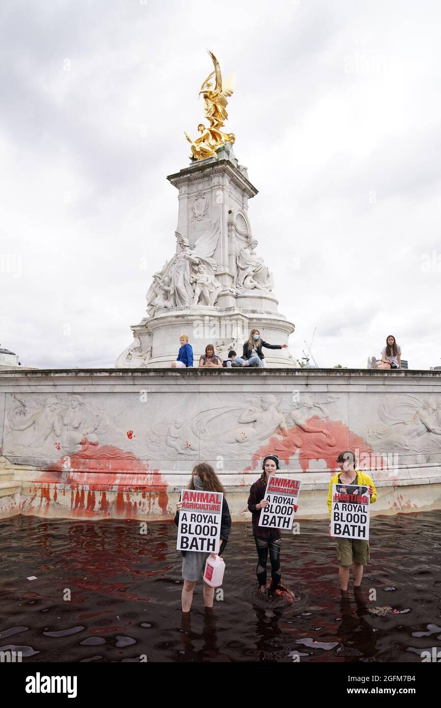 Extinction Rebellion protesters stand in the fountain at the Queen ...