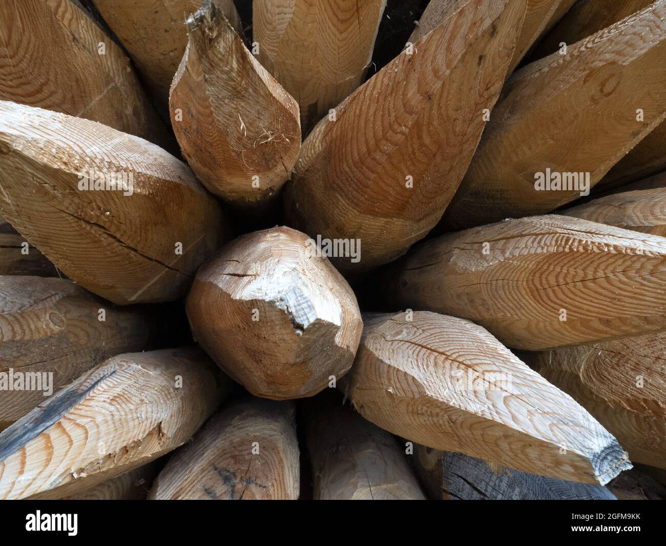 Pointed logs hi-res stock photography and images - Alamy