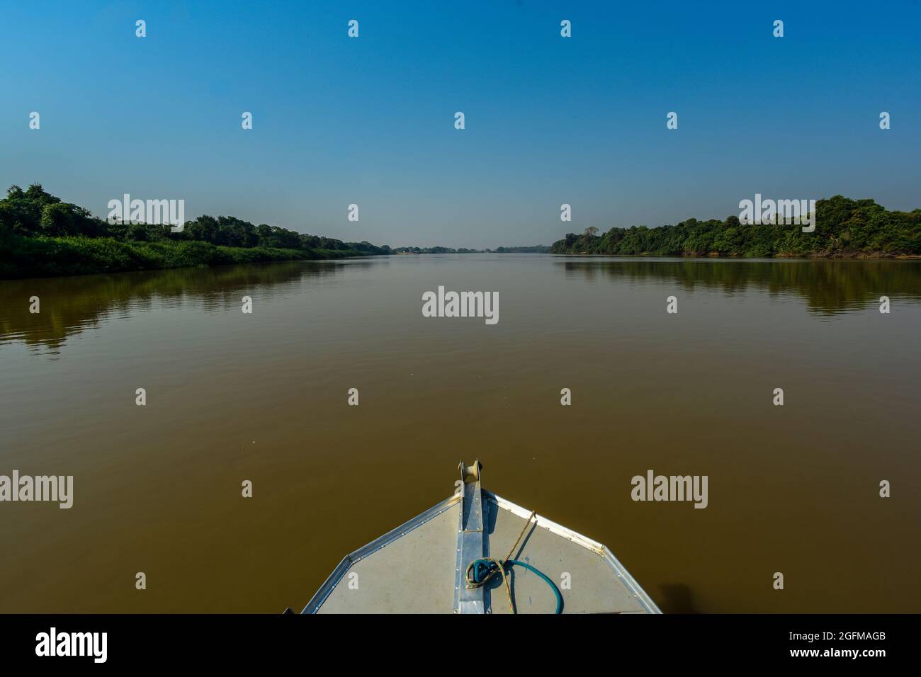 Cuiabá river landscape, Pantanal Forest , Mato grosso, Brazil Stock ...