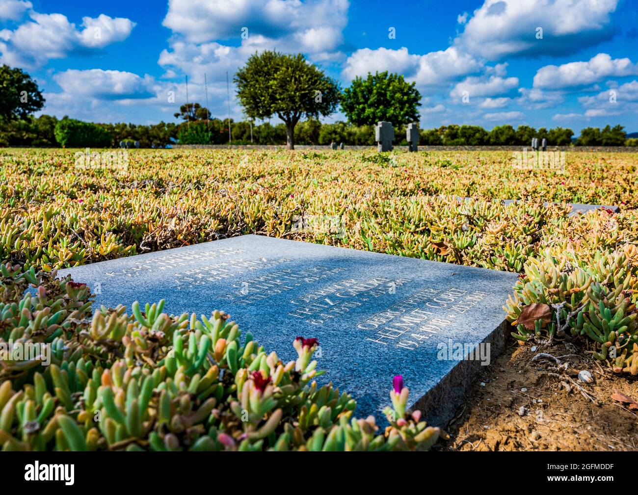 German Military War Cemetery, located in olive groves at Maleme close ...