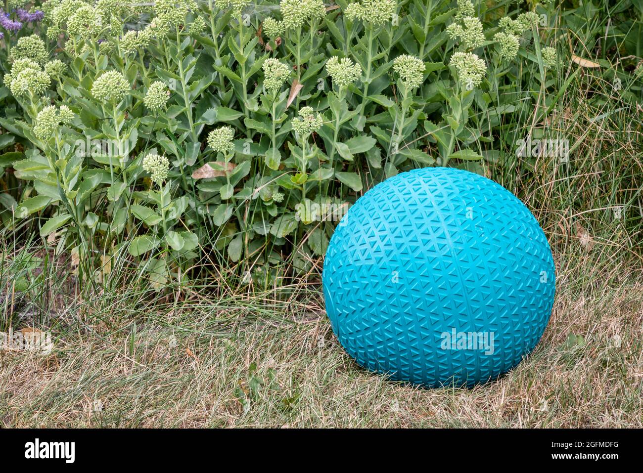 heavy rubber slam ball filled with sand on a backyard, exercise and ...