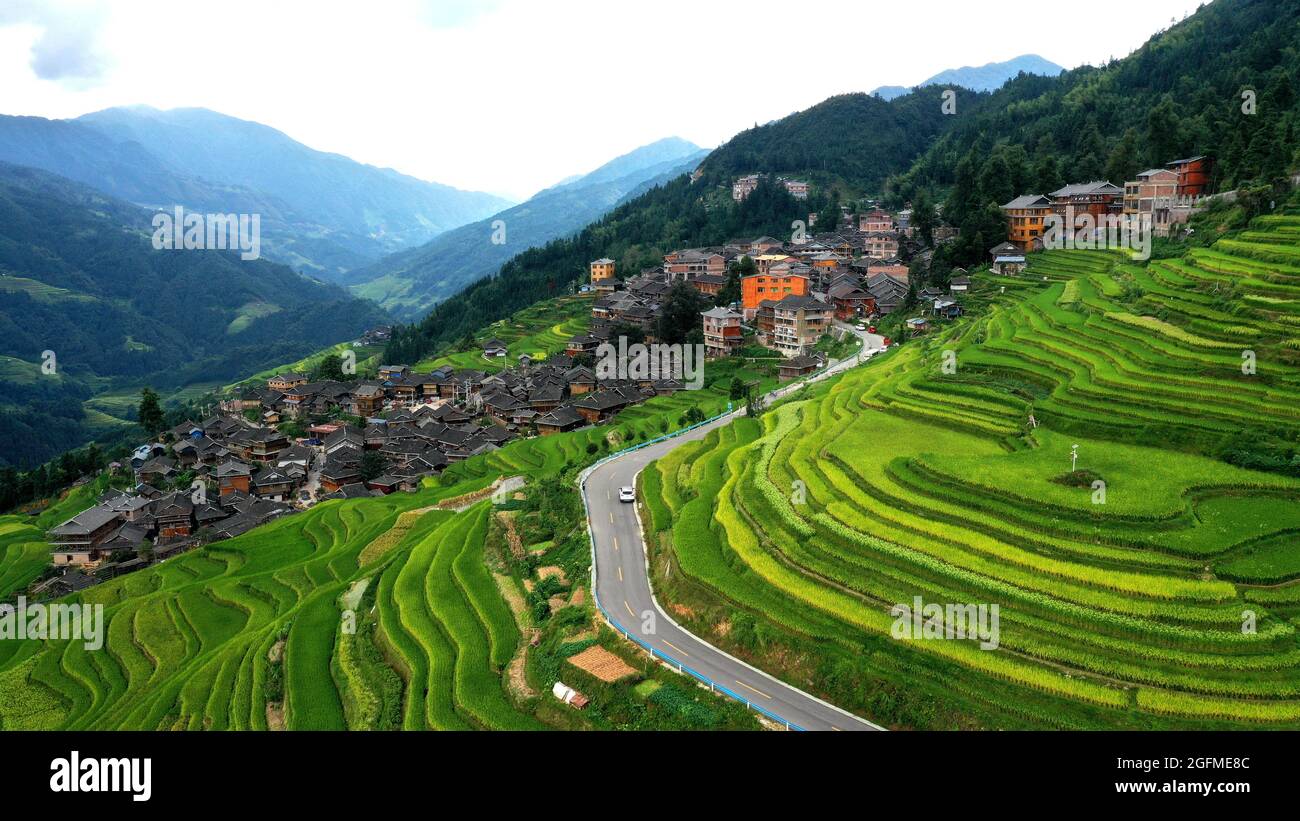 CONGJIANG, CHINA - AUGUST 26, 2021 - Photo taken on Aug. 26, 2021 shows ...
