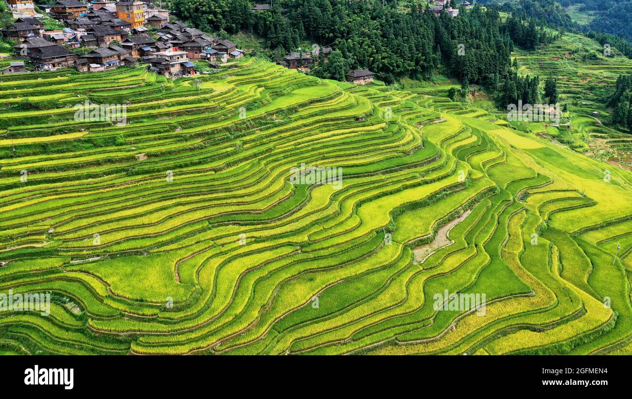 CONGJIANG, CHINA - AUGUST 26, 2021 - Photo taken on Aug. 26, 2021 shows ...