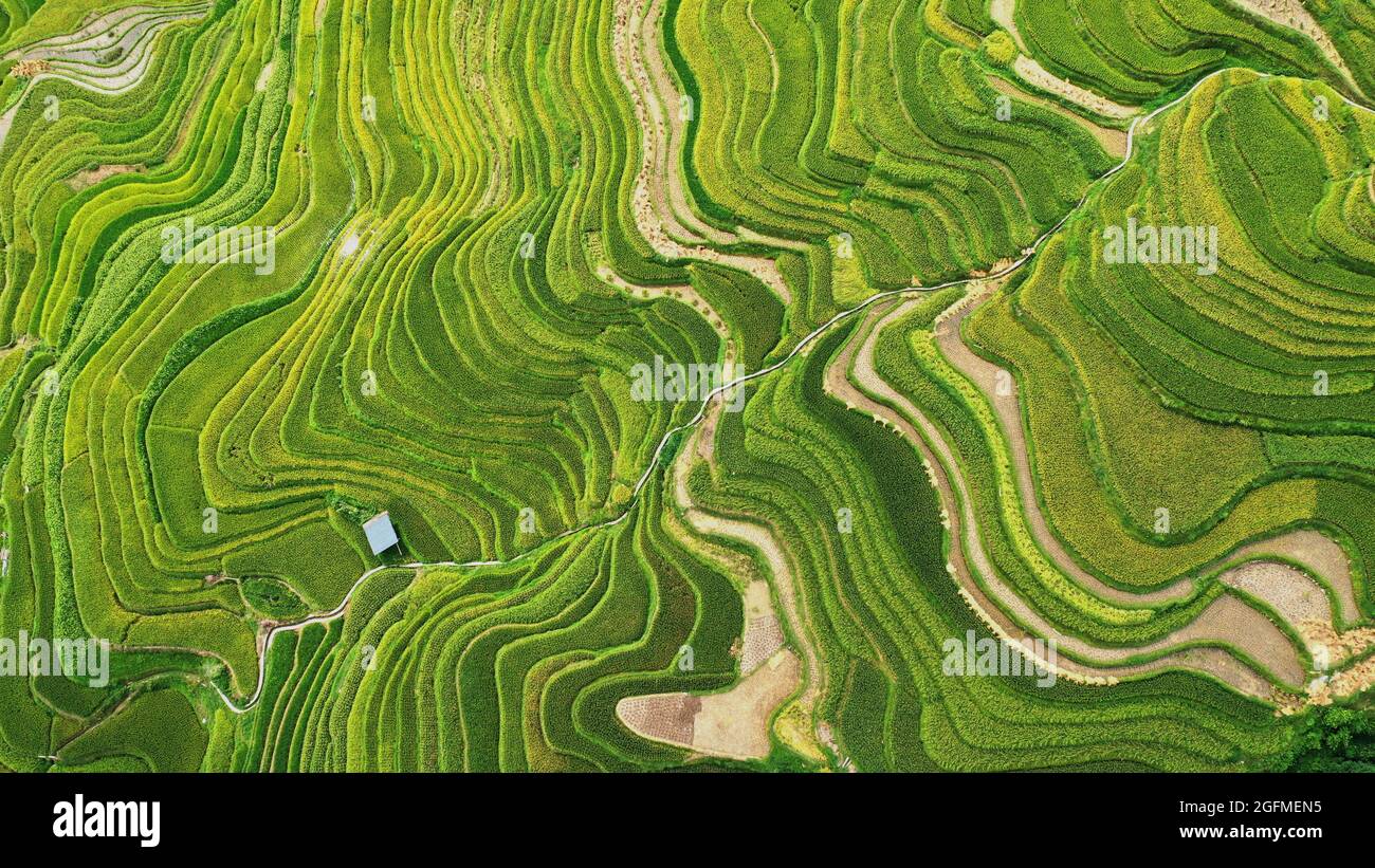 CONGJIANG, CHINA - AUGUST 26, 2021 - Photo taken on Aug. 26, 2021 shows ...