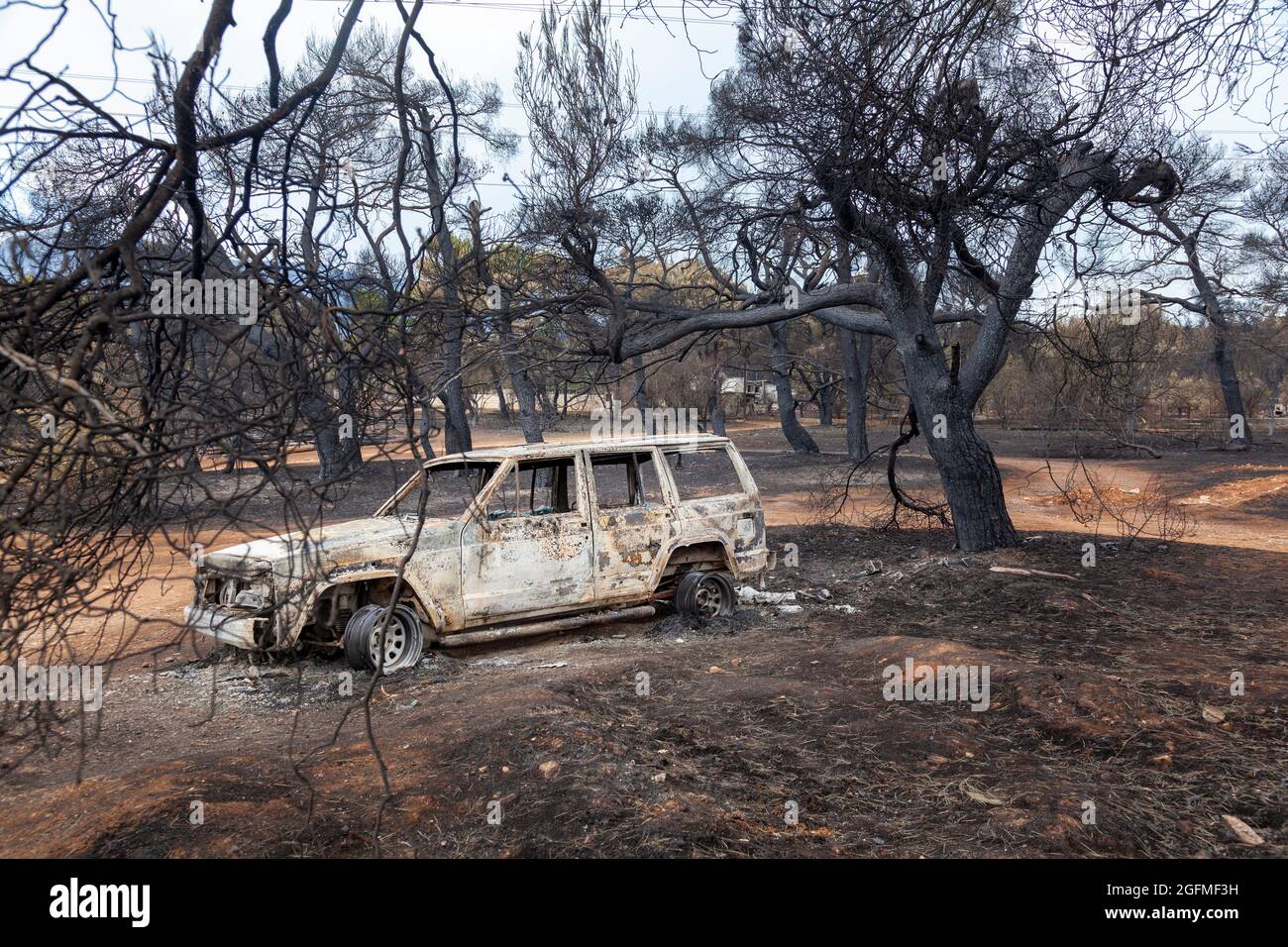 Burned car after the devastating bushfires at Mount Parnitha, in Attica ...