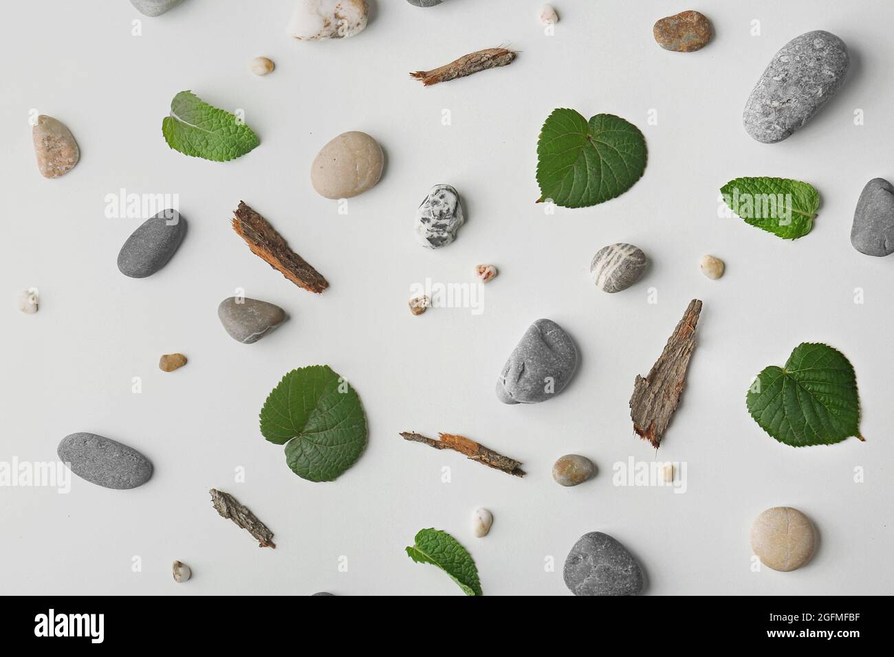 Scattering of leaves, pebbles and pieces of bark on white background ...