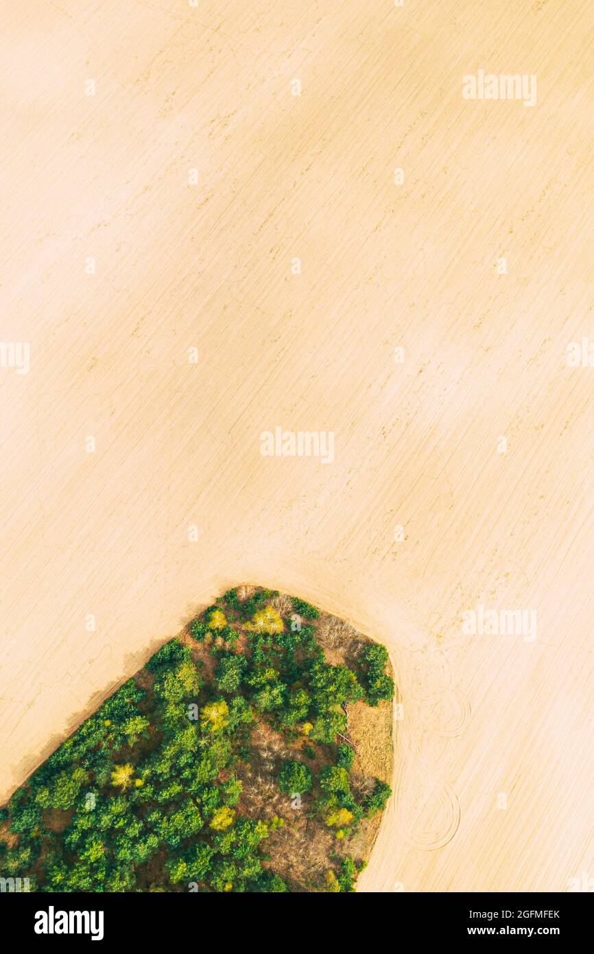 Aerial Top View Of Agricultural Landscape With Growing Forest Trees On ...