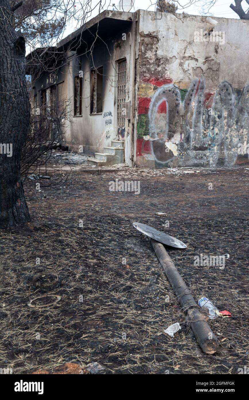 Devastation after the catastrophic bushfires at Mount Parnitha, in ...