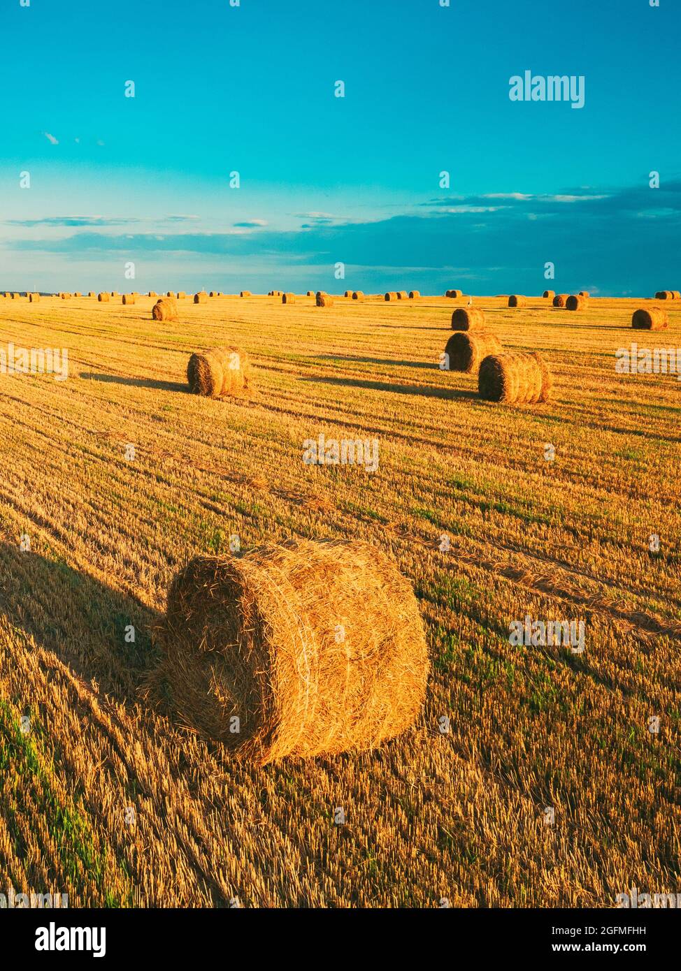 Aerial View Of Summer Hay Rolls Straw Field Landscape In Evening ...