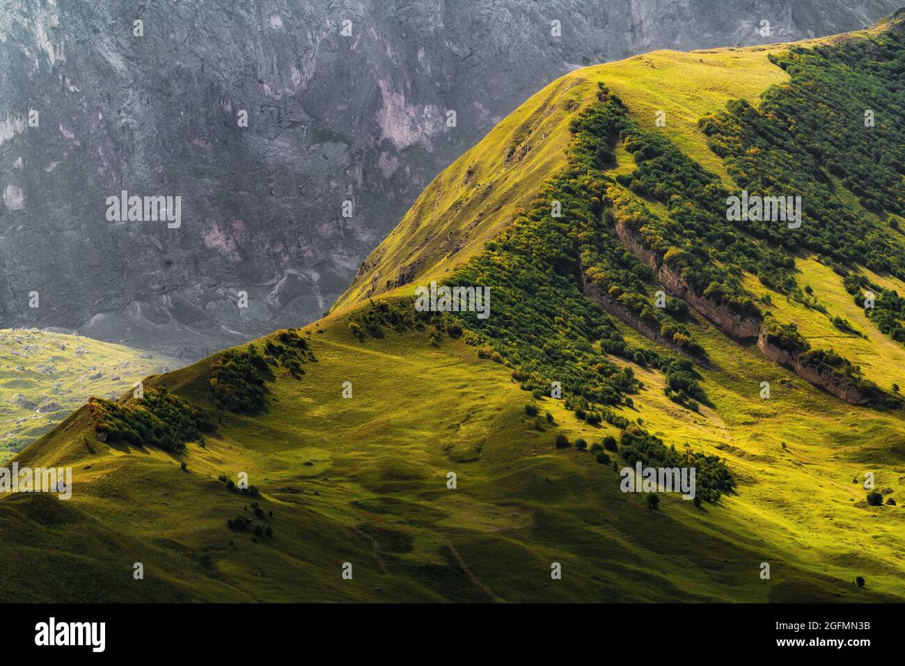 Green forest on mountain slope Stock Photo - Alamy
