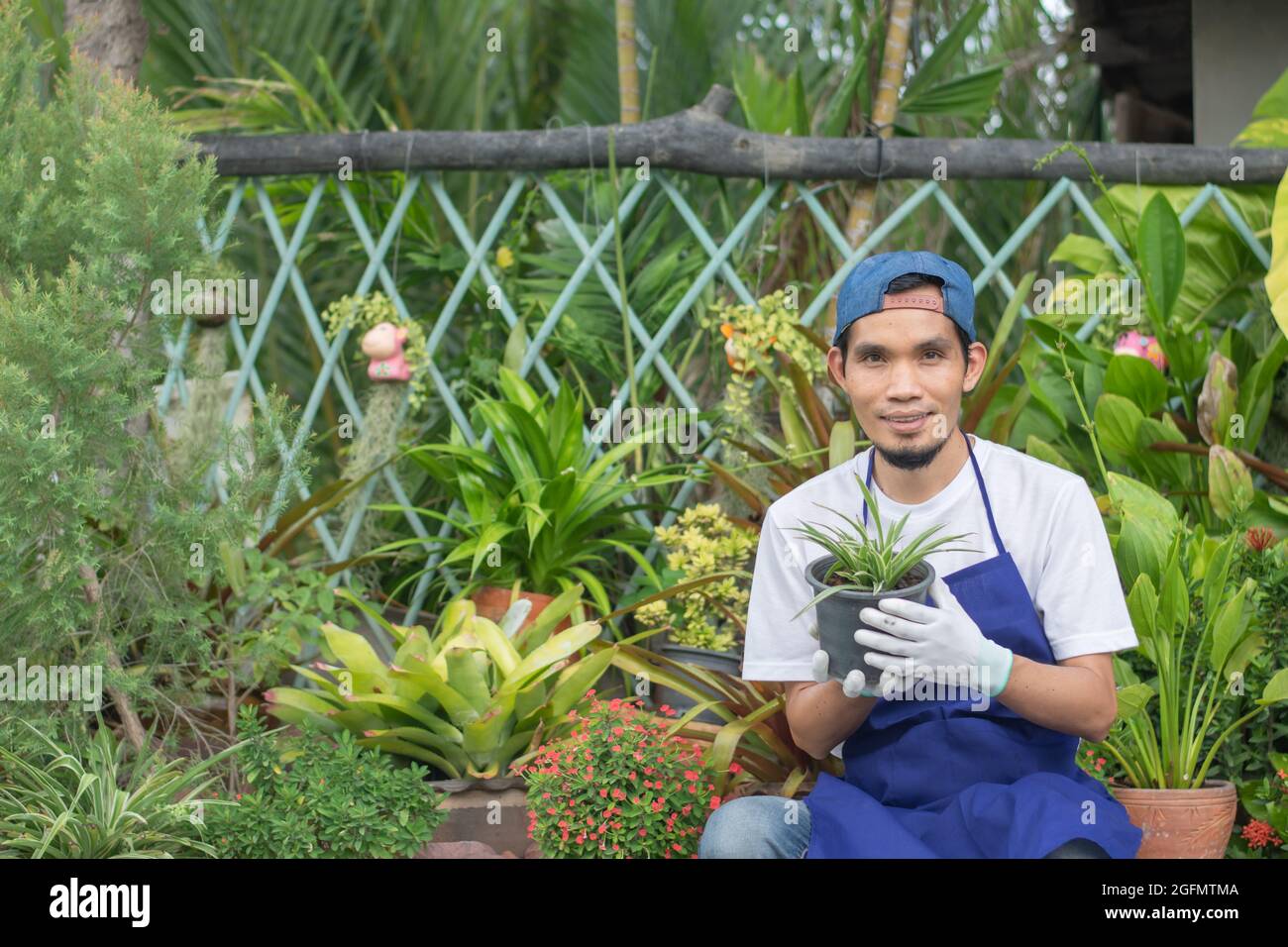 Man sell plant garden in shop Stock Photo - Alamy