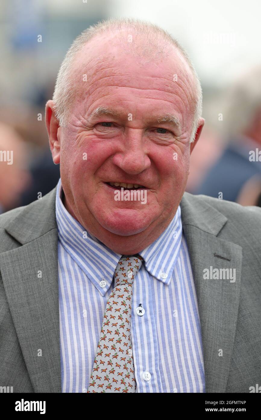 Fell horse hi-res stock photography and images - Alamy