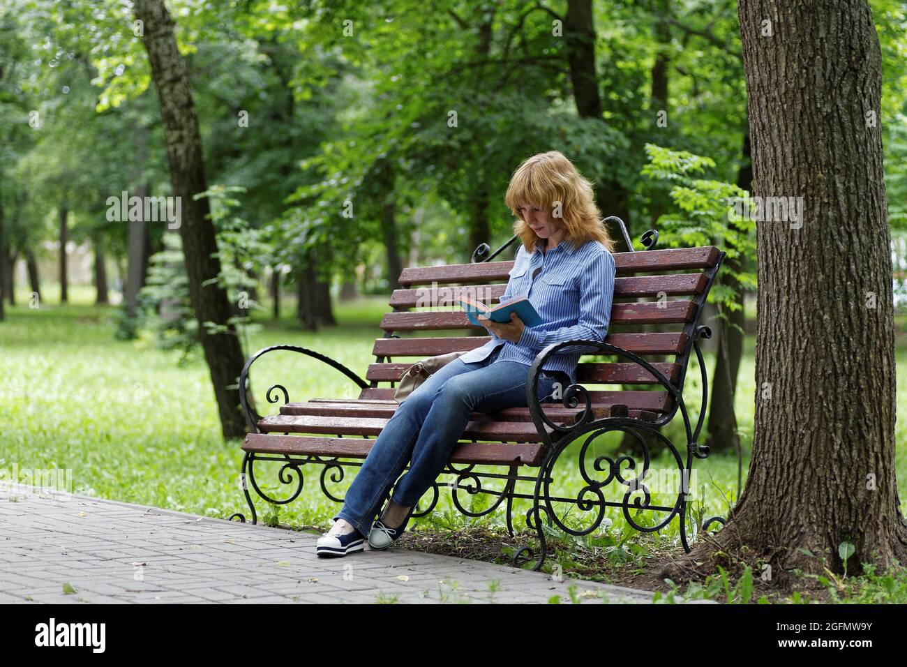 Girl Sitting Alone On Bench Reading