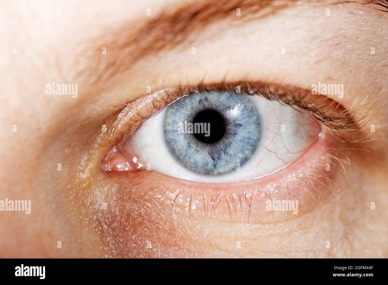 Macro detail photo of open human eye Stock Photo - Alamy