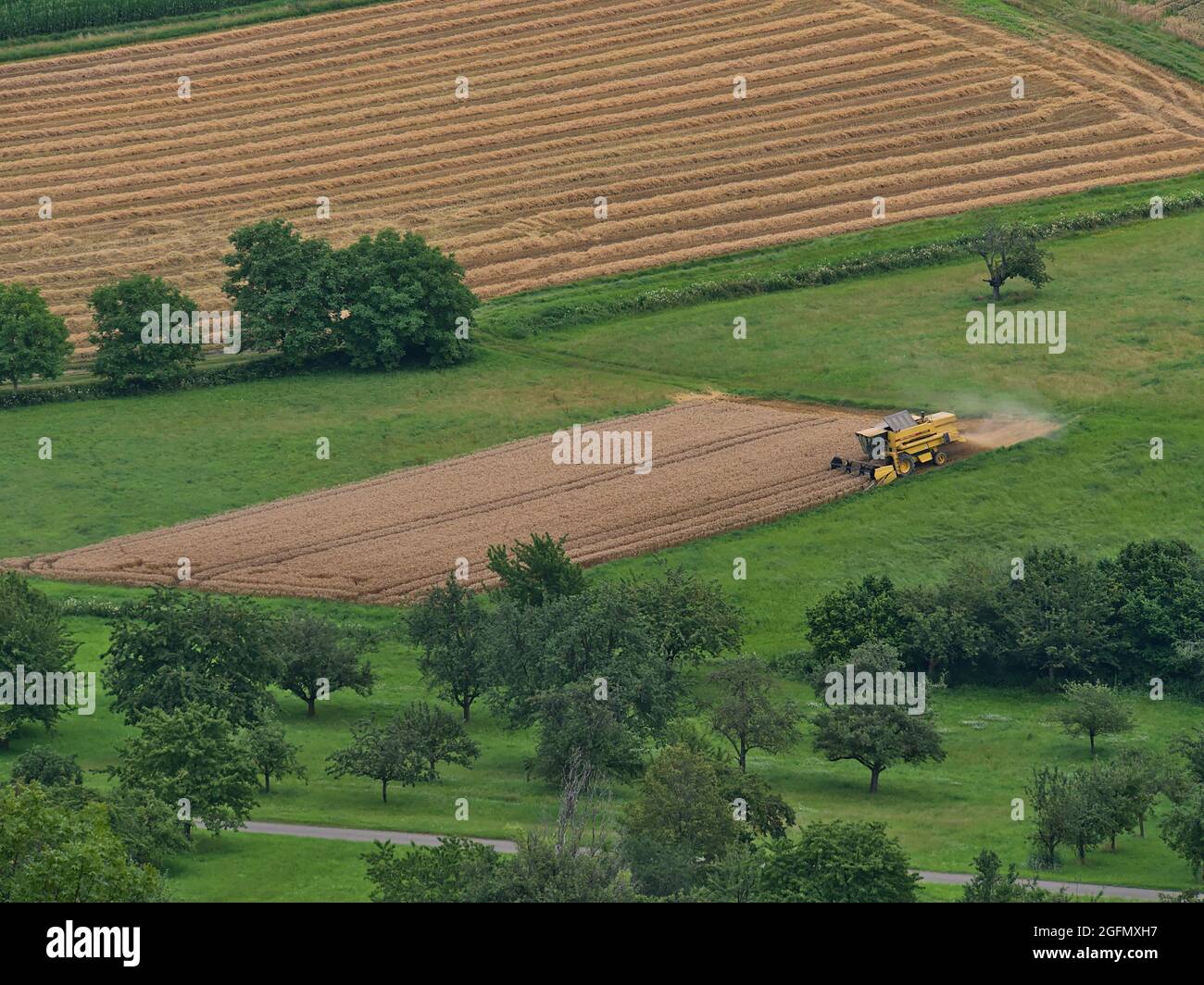 Aerial view of yellow colored harvester reaping grain on agricultural ...
