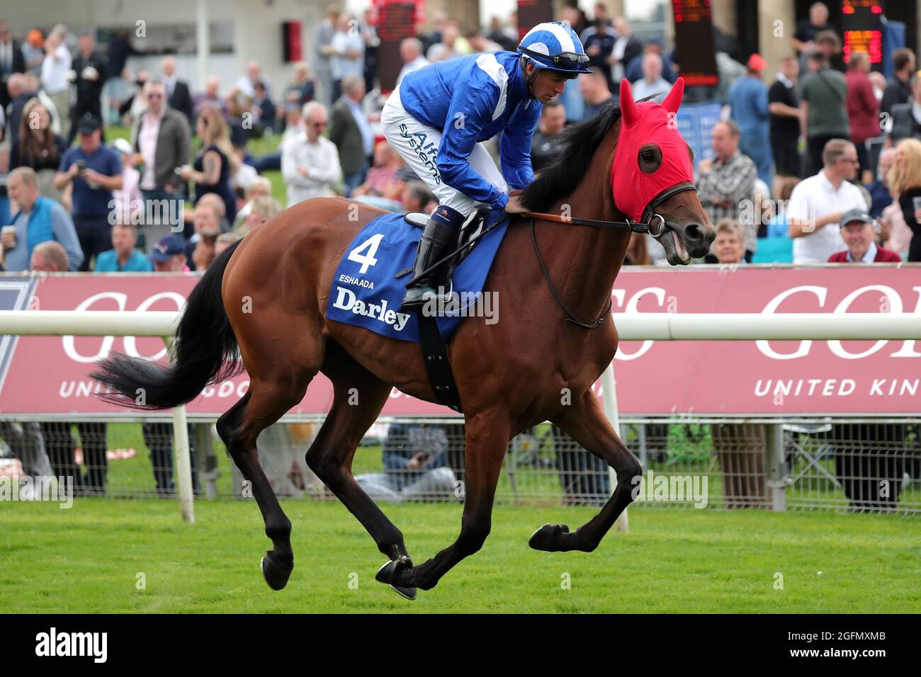 Jim crowley horse racing hi-res stock photography and images - Alamy