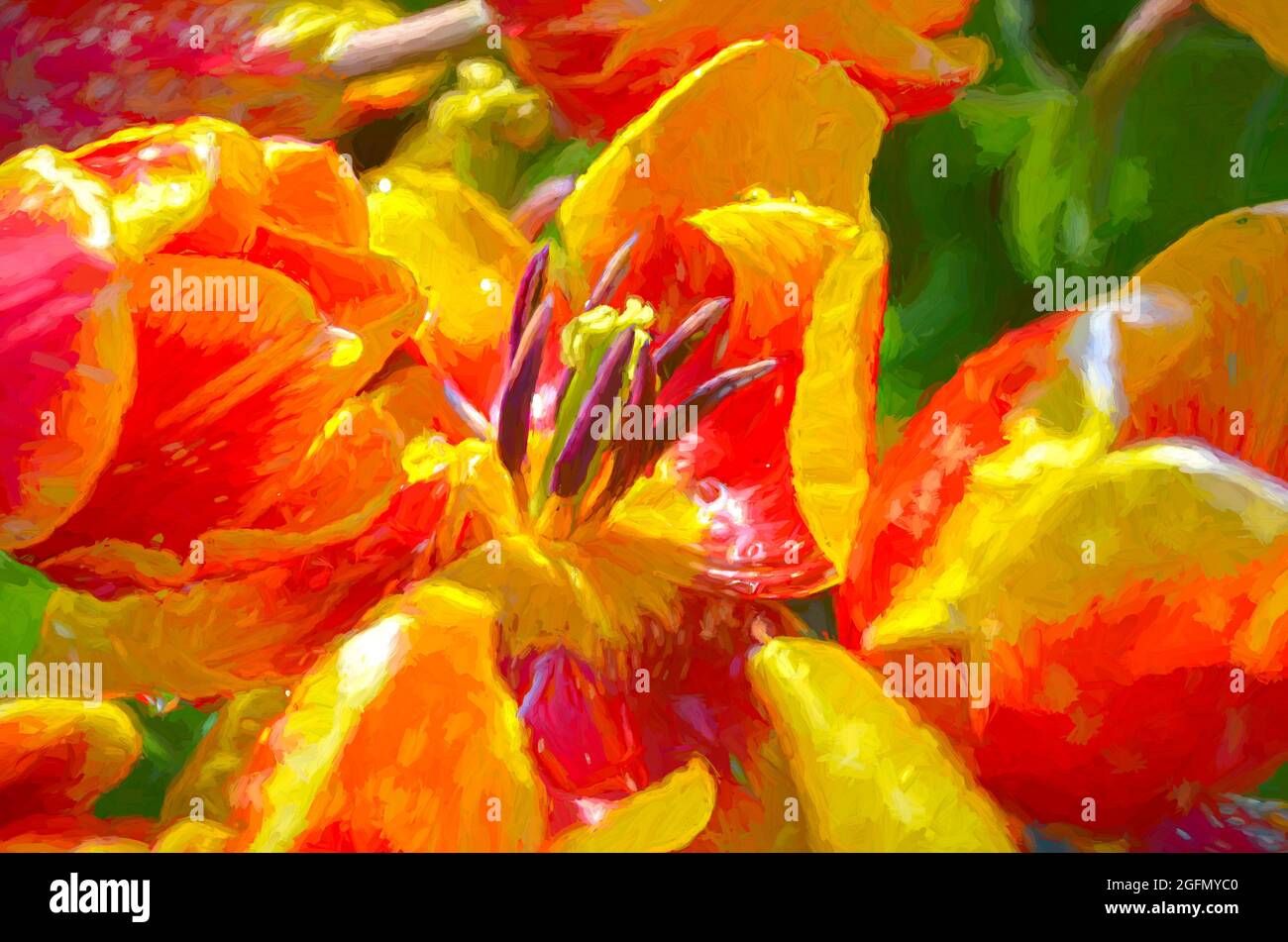 Digital painting of a tulip in bloom Stock Photo - Alamy