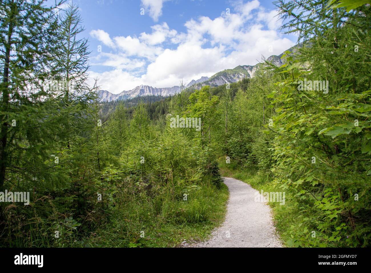 Saalfelden Austria Steinalm and landscapes around Stock Photo - Alamy