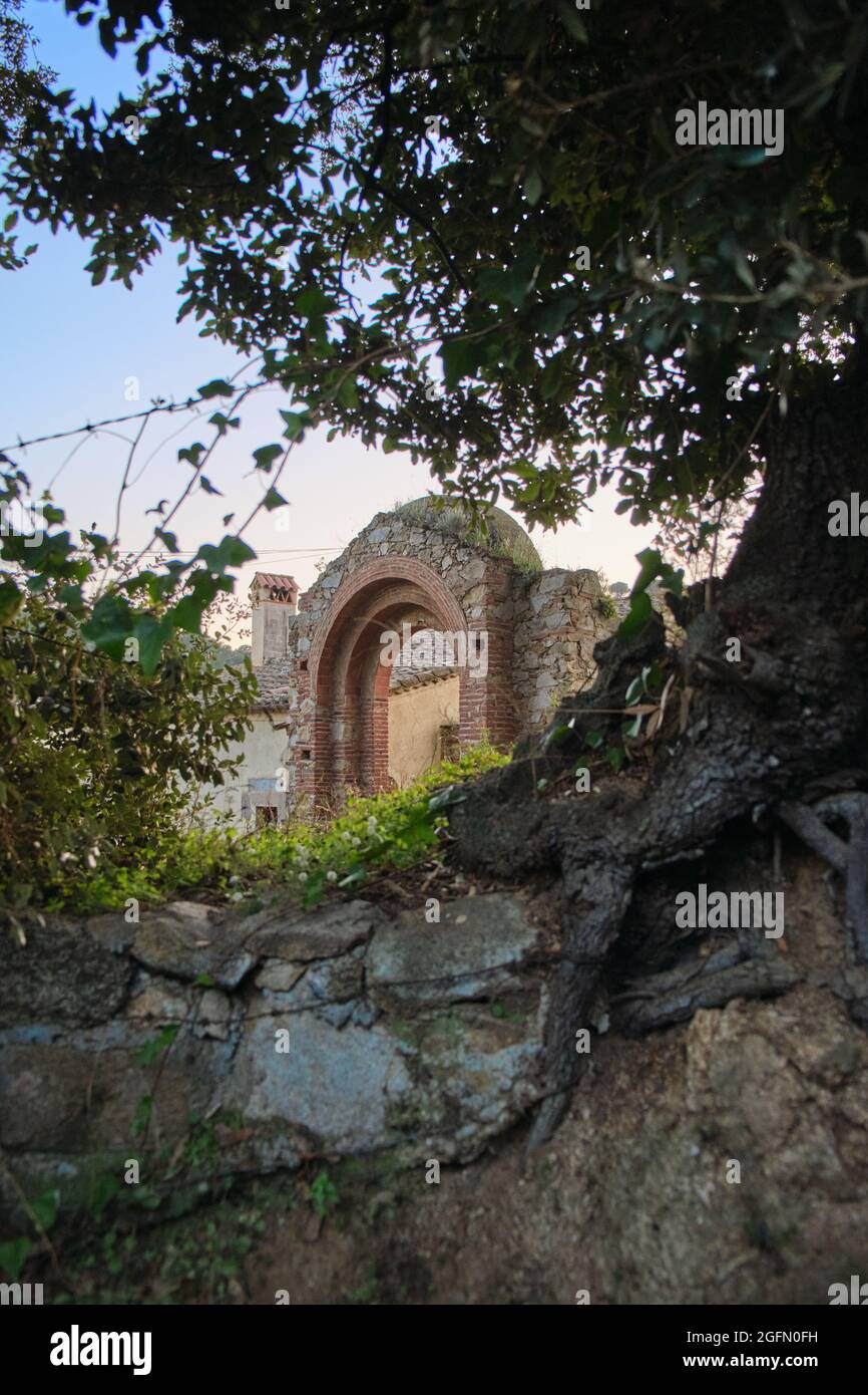 Natural wall with stone to reinforce and tree root. Arch house built ...