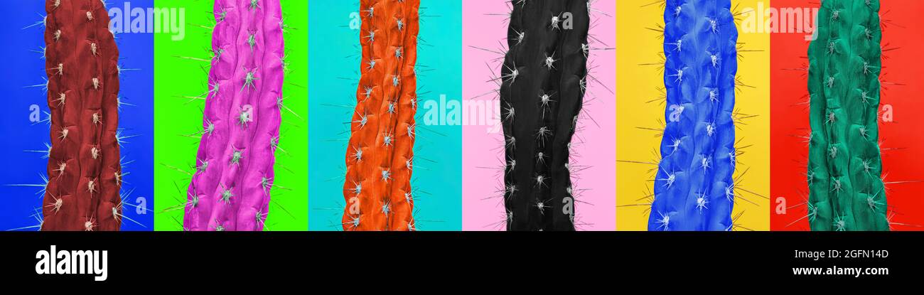 Contemporary art collage. Bright vibrant colors. Horizontal composition ...