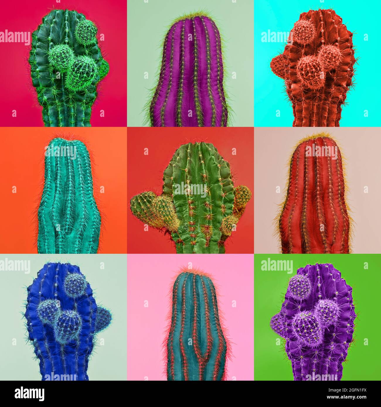 Contemporary art collage. Bright vibrant colors. Composite image of ...