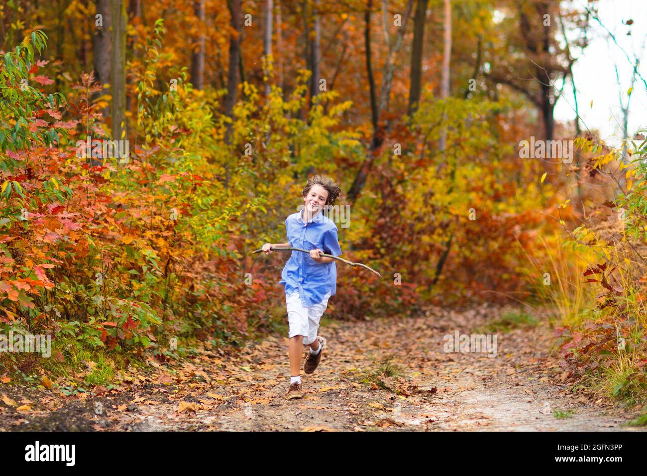 Kids play in autumn park. Family fun in fall season. Little boy picking ...