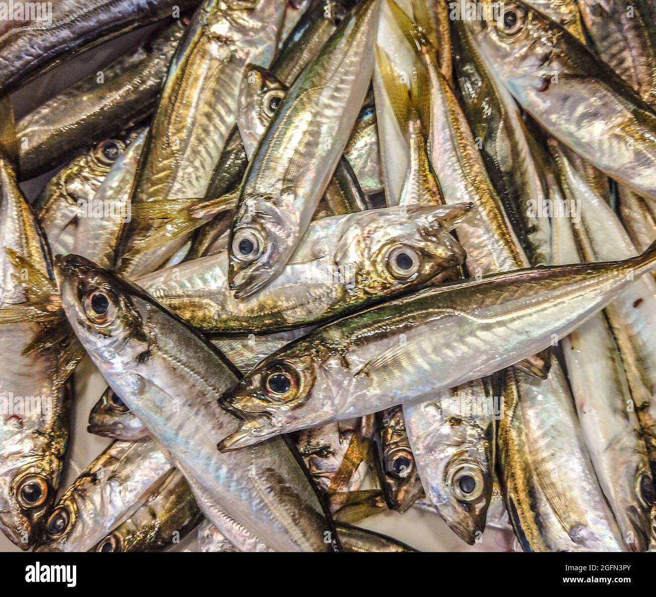 Blue skinned fish hi-res stock photography and images - Alamy