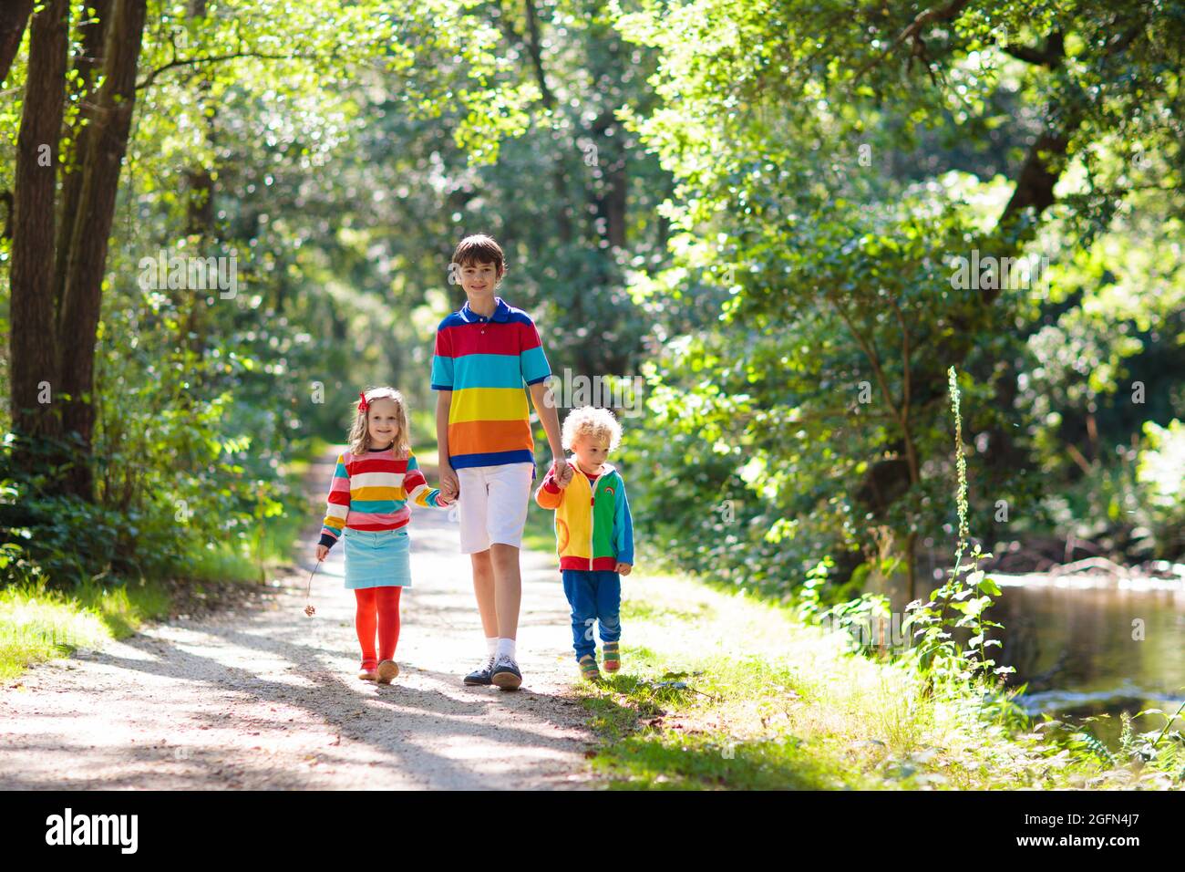 Children hiking in forest and mountains. Kids play outdoor in summer ...
