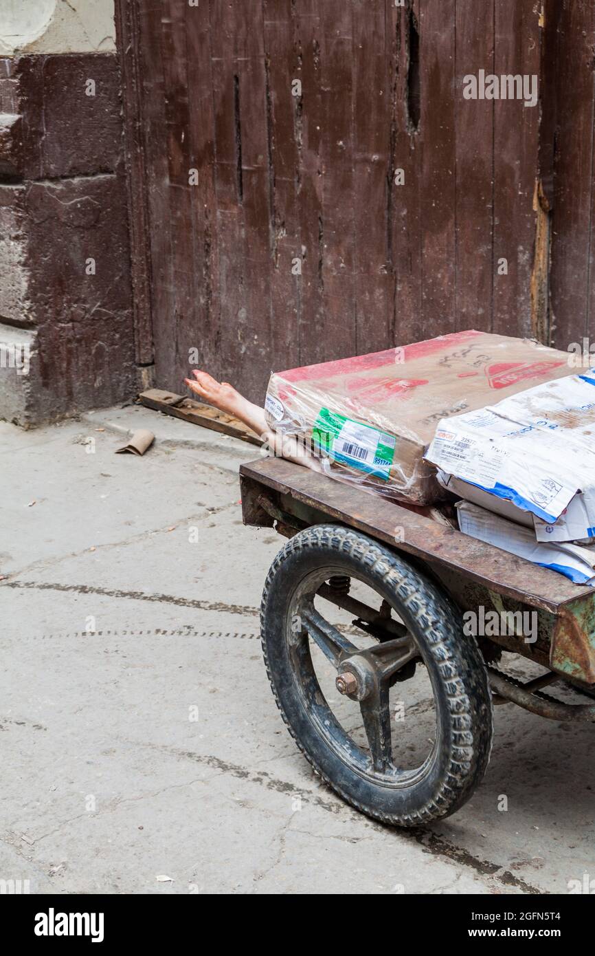Pig in cart hi-res stock photography and images - Alamy