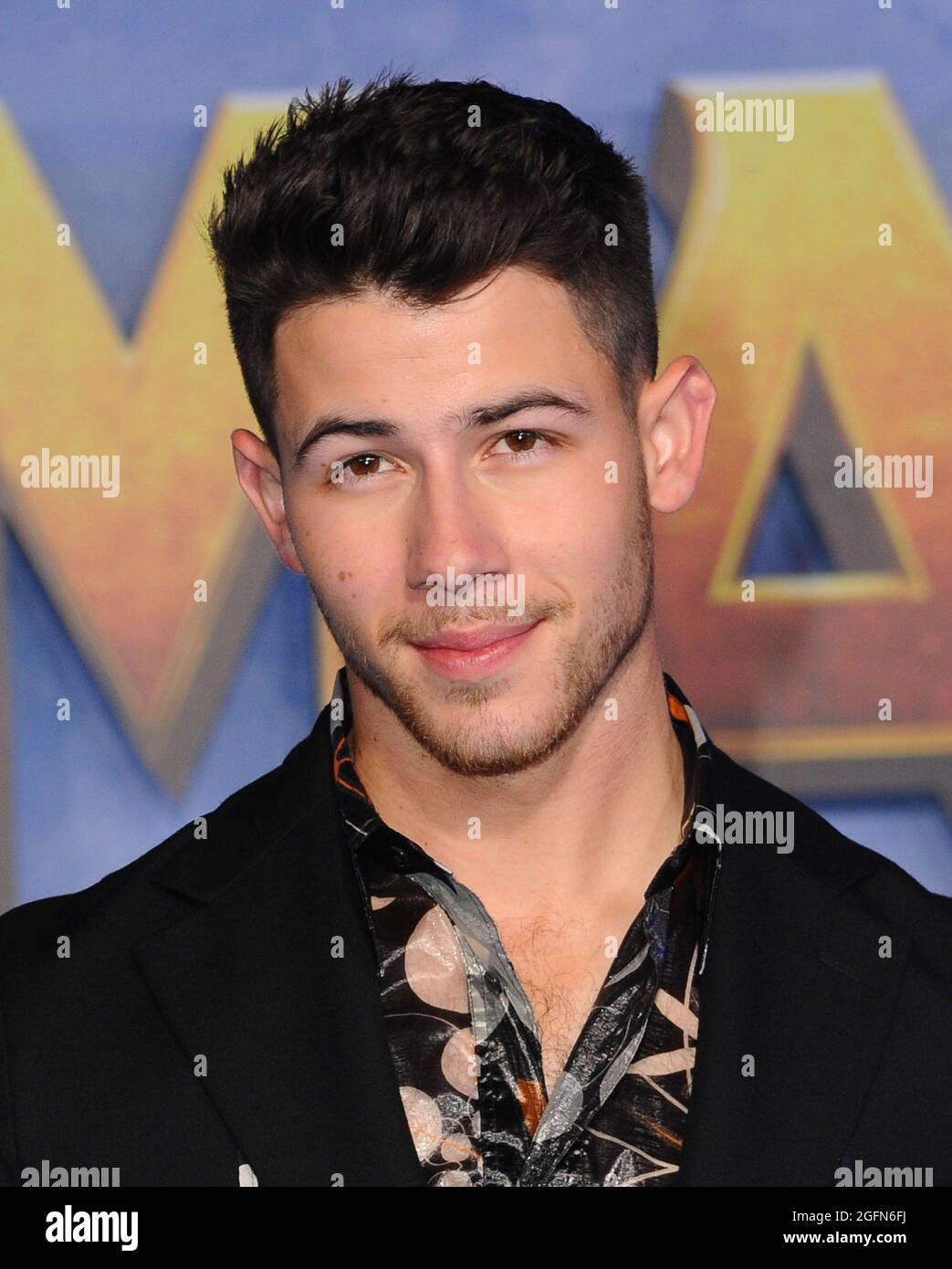 Los Angeles - CA - 12/09/2019 Jumanji Los Angeles Premiere -PICTURED ...