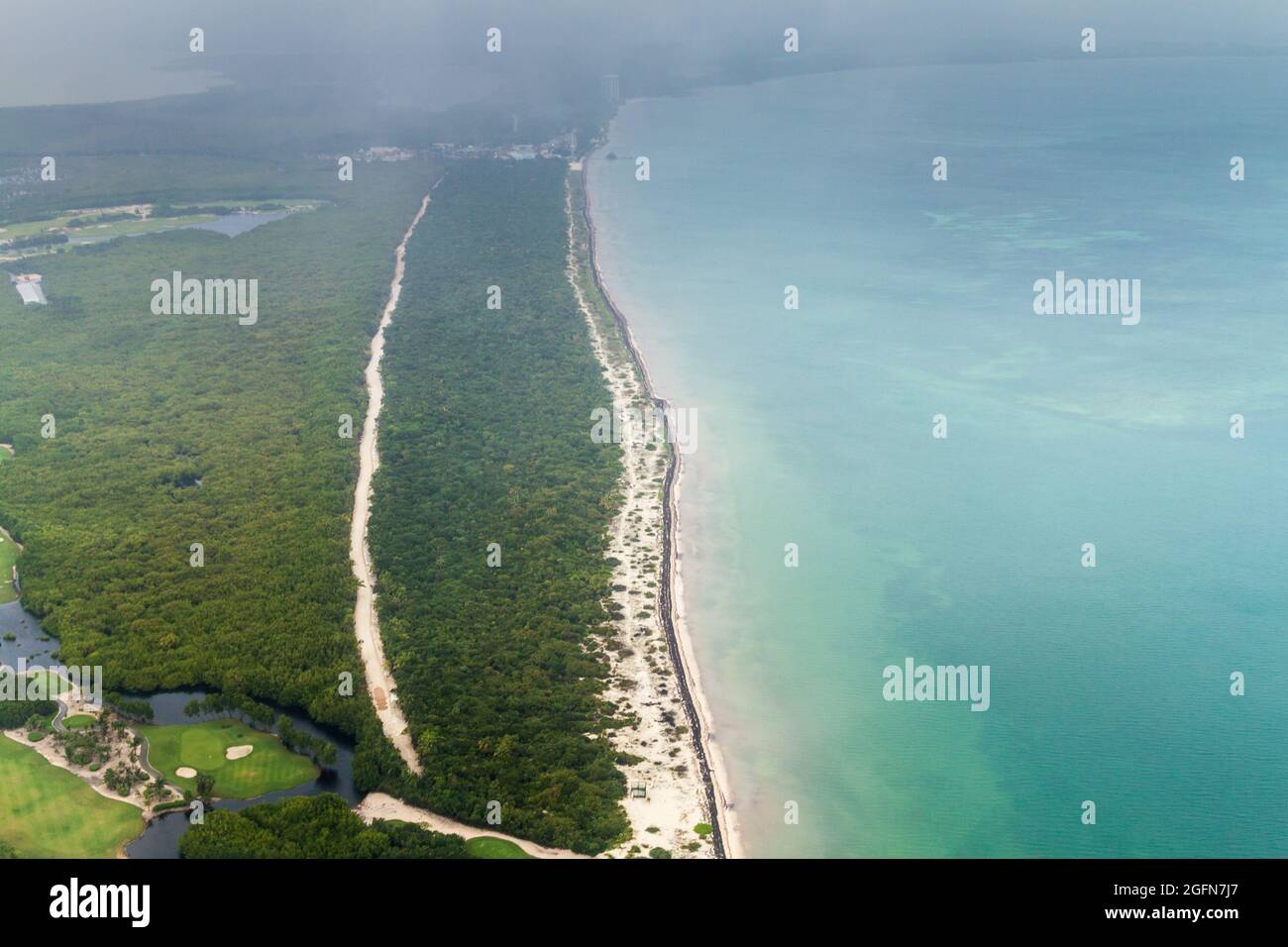 Cancun mexico forest hi-res stock photography and images - Alamy