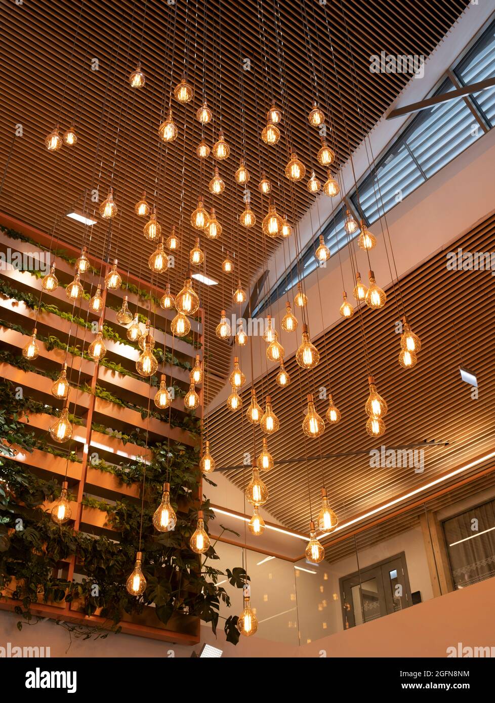 Ogre Central Library lobby with hanging LED lamps and wooden ceiling ...