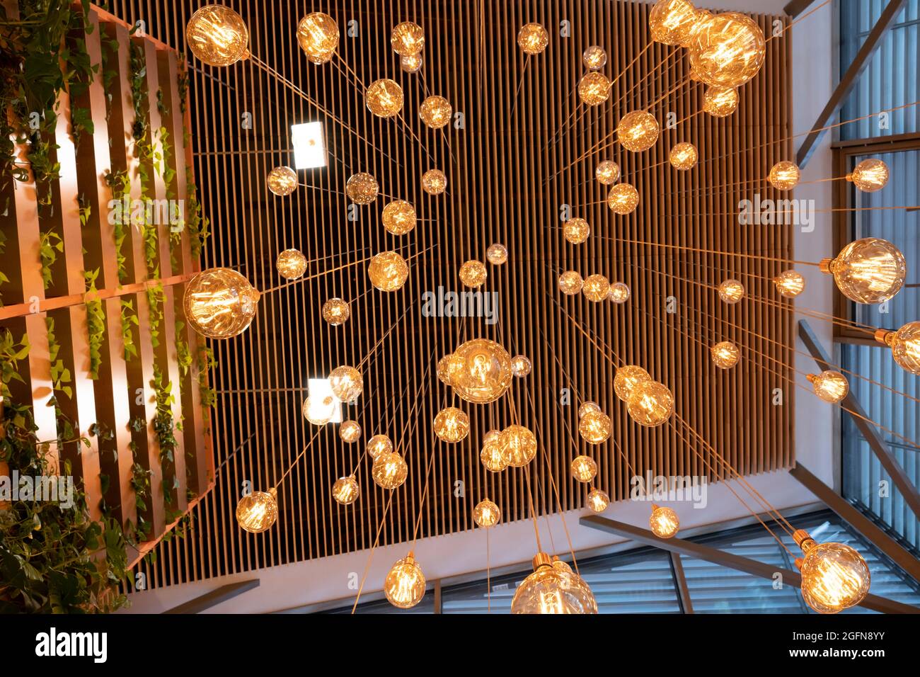 Ogre Central Library lobby with hanging LED lamps and wooden ceiling ...