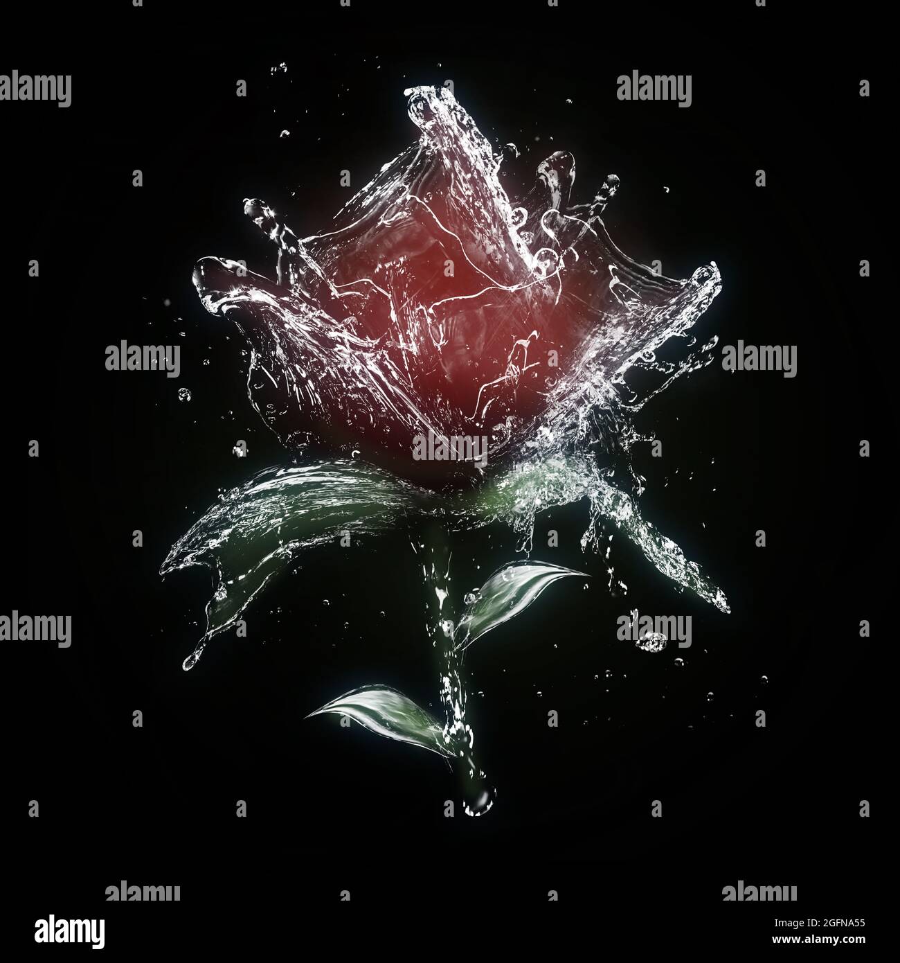 Illustration of rose flower made of water liquid splashes on dark ...