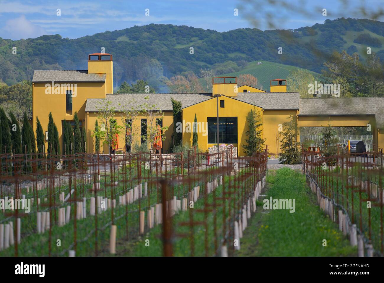 The Patz Hall winery, Sonoma CA Stock Photo - Alamy