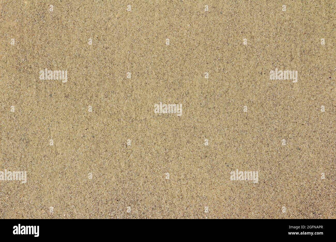 Grain of sand hi-res stock photography and images - Alamy