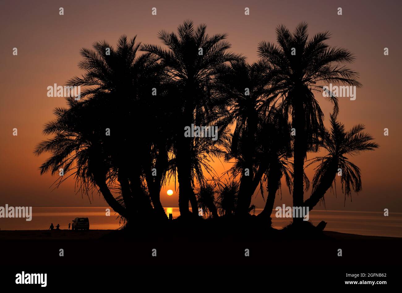 A Beautiful evening - UMM BAB Beach - QATAR Stock Photo - Alamy