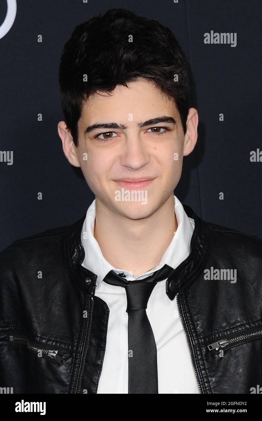 Los Angeles - CA -20191204 - LA Premiere of Spies in Disguiseat El ...