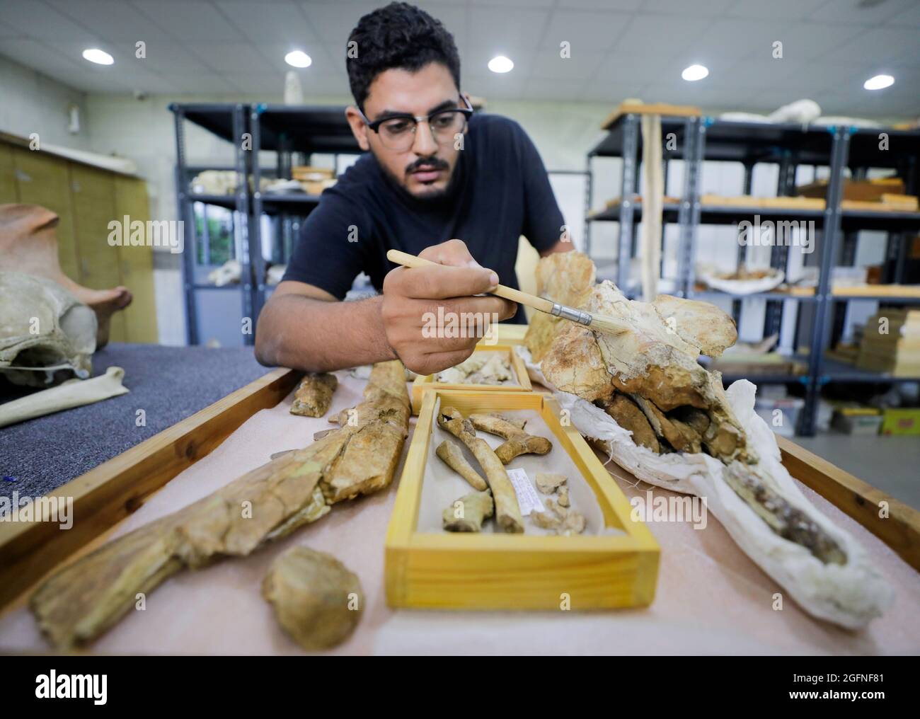 From fayum hi-res stock photography and images - Alamy