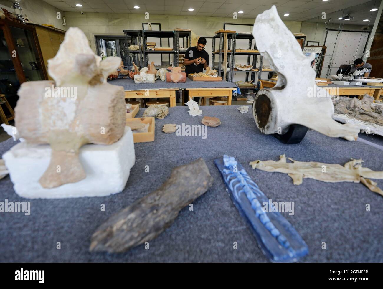 From fayum hi-res stock photography and images - Alamy