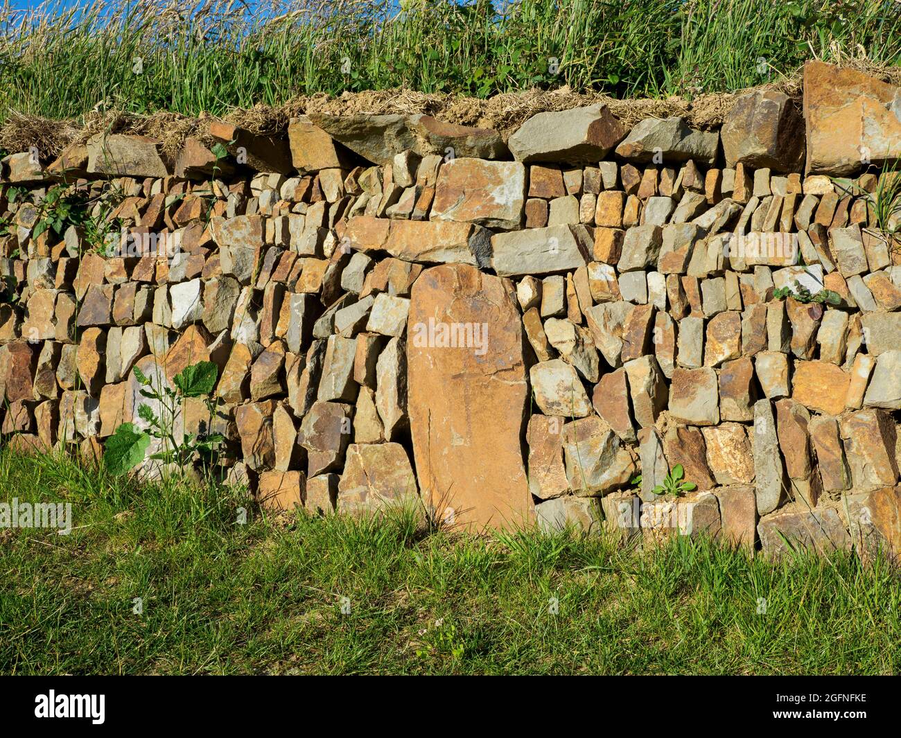 A rebuilt Cornish hedge, Widemouth Bay, Cornwall, UK Stock Photo - Alamy
