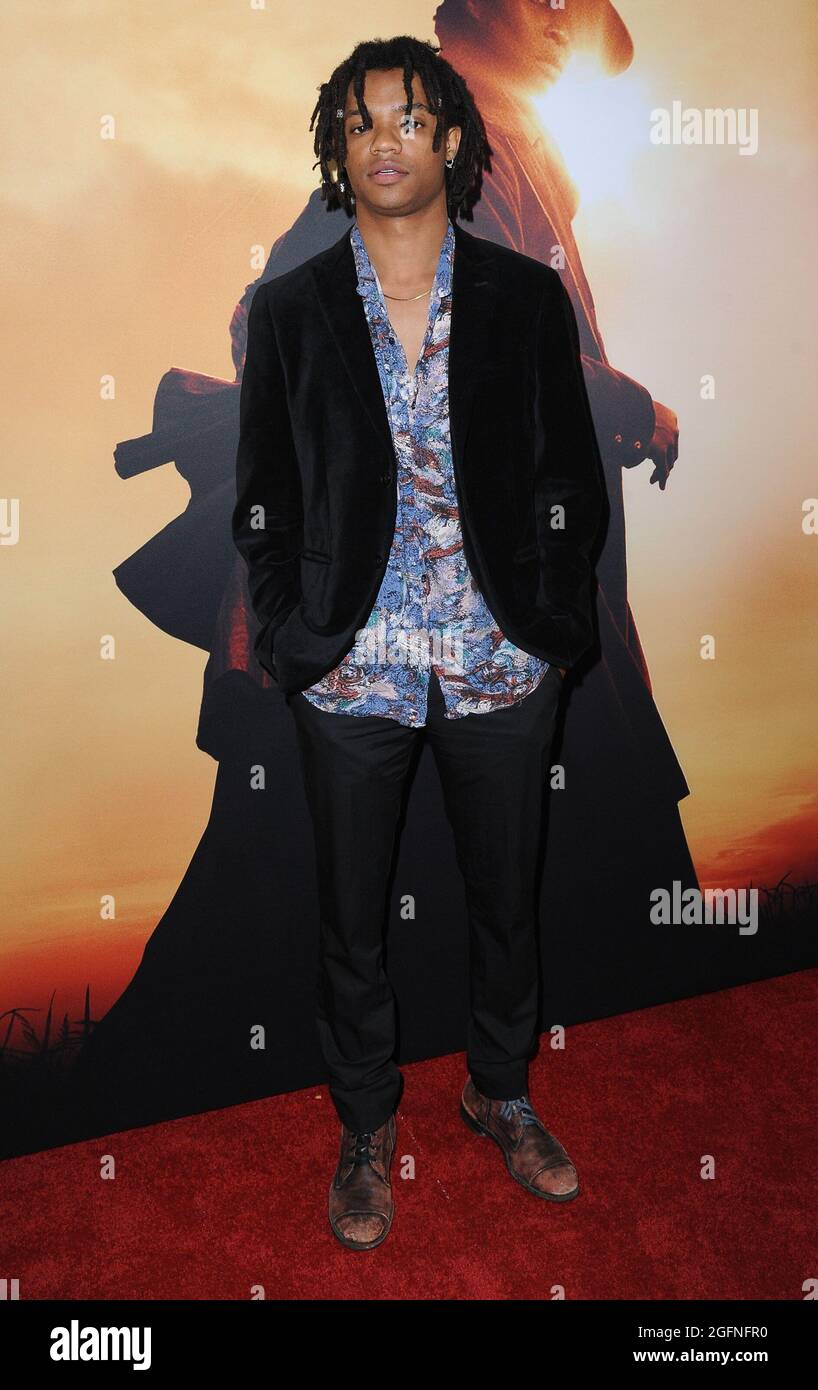 Los Angeles - CA - 10/29/2019 Harriet Los Angeles Premiere -PICTURED ...