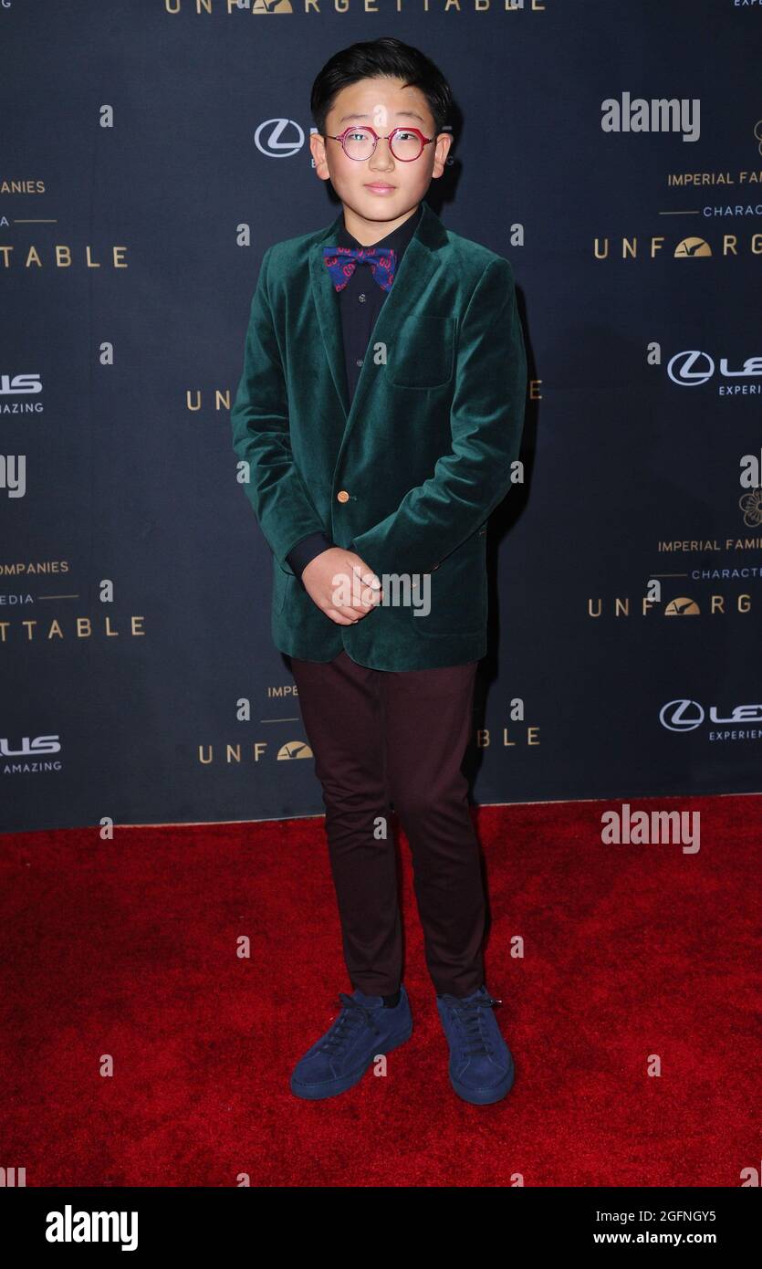 Los Angeles - CA - 12/14/2019 18th Annual Unforgettable Gala -PICTURED ...