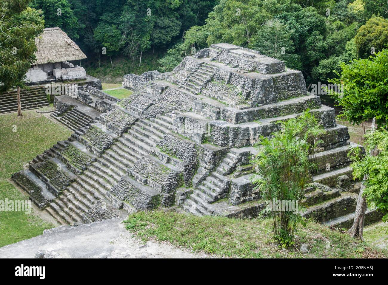 Pyramid at the North Acropolis at the archaeological site Yaxha ...
