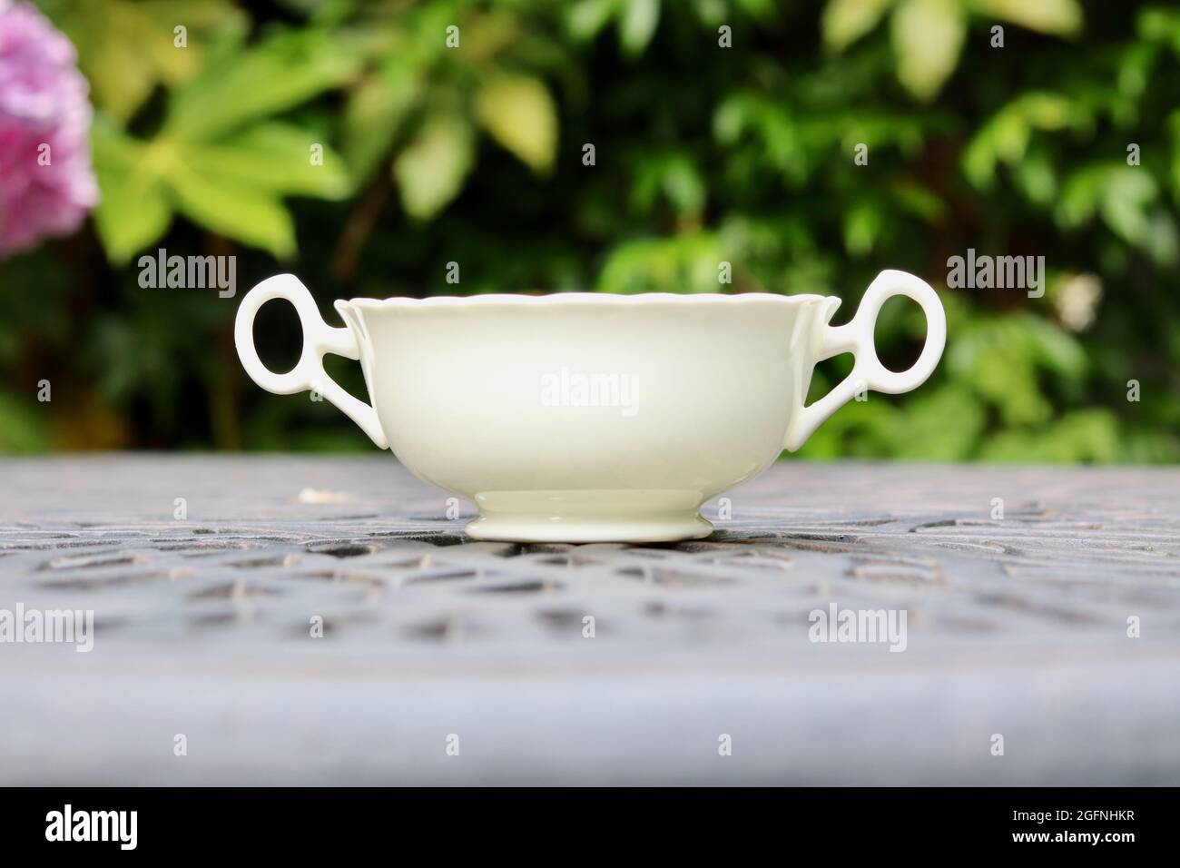 Double handled white china bowl or cup on garden table with bushes in ...