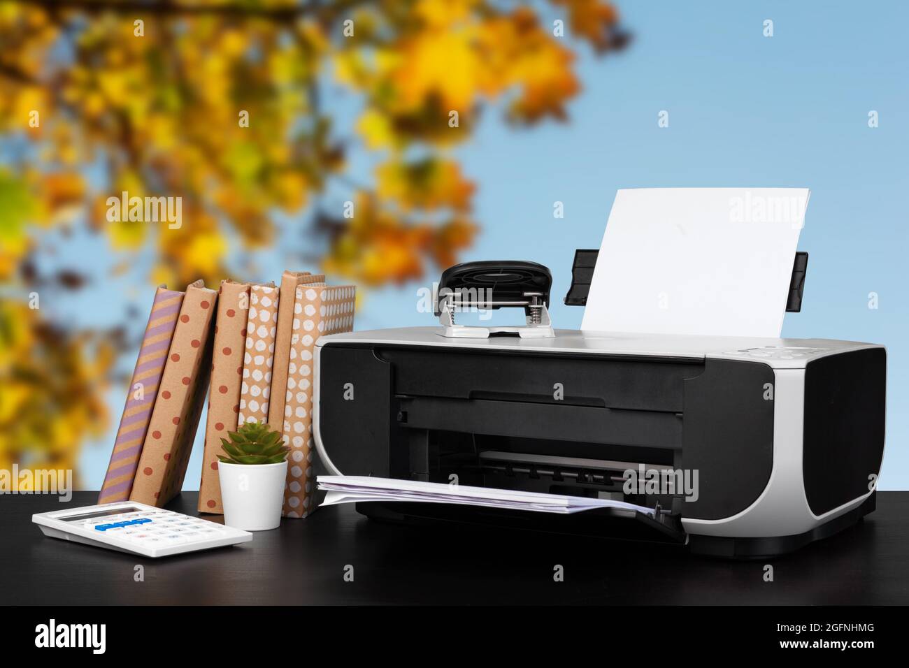 Compact home printer on desk with books against blurred background ...